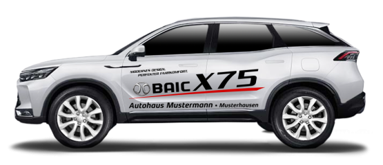 SIGNLINE Werbeservice | X75 | online kaufen