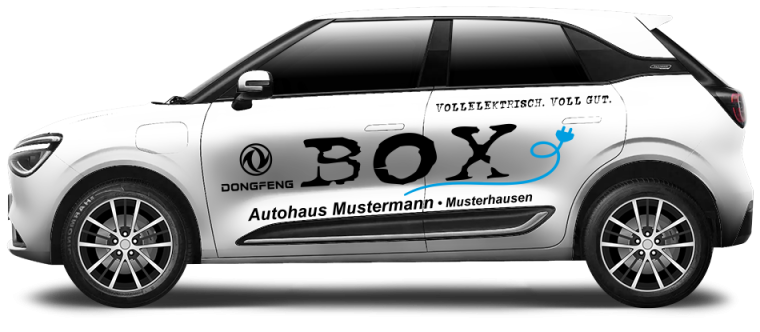 Sign-Line Werbeservice | DFM Box 02 | online kaufen